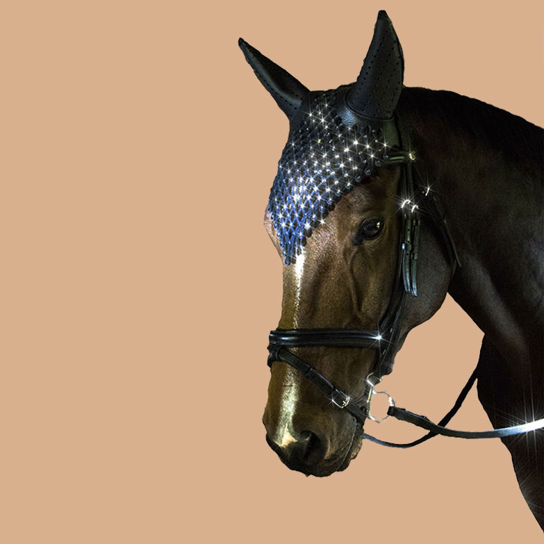 Flair-Luftpolstersystem, Reiten auf Luft, Komfort fürs Pferd